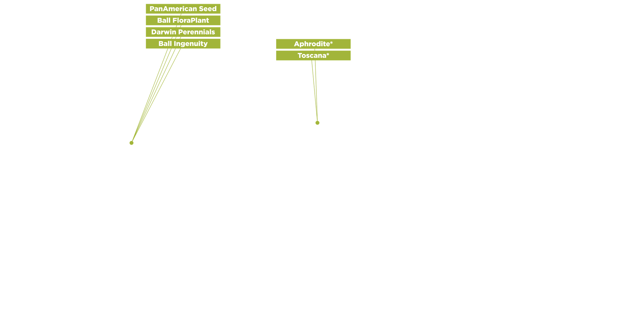 Our Companies & Partners