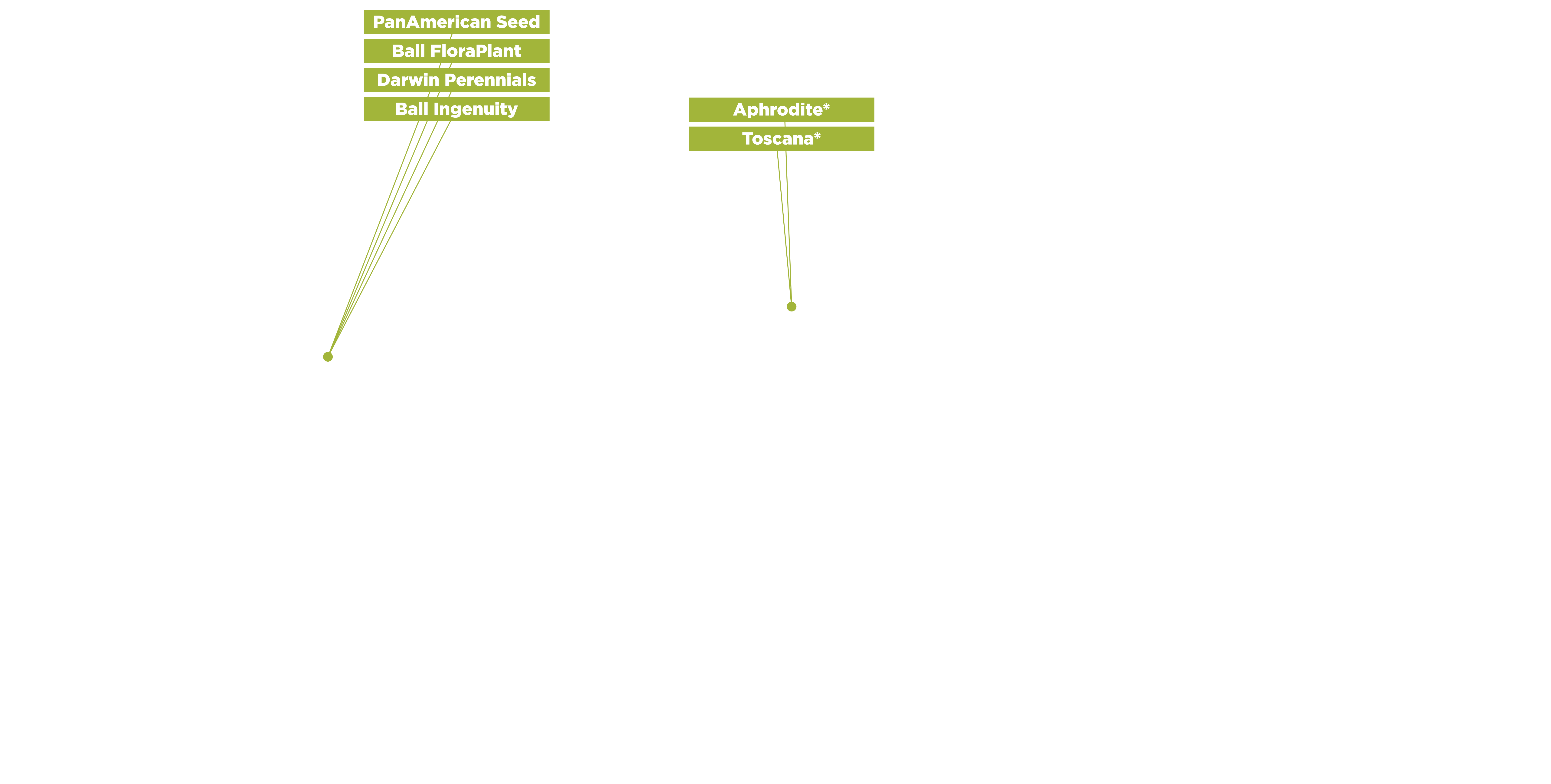 Our Companies & Partners