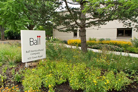 Ball Horticultural